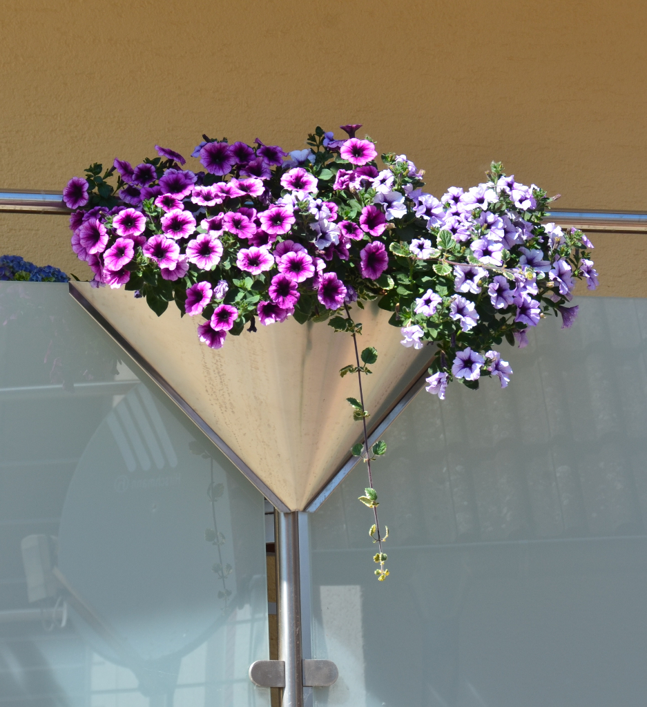 Geländer Edelstahl Blumen 2 - Markus Rebmann